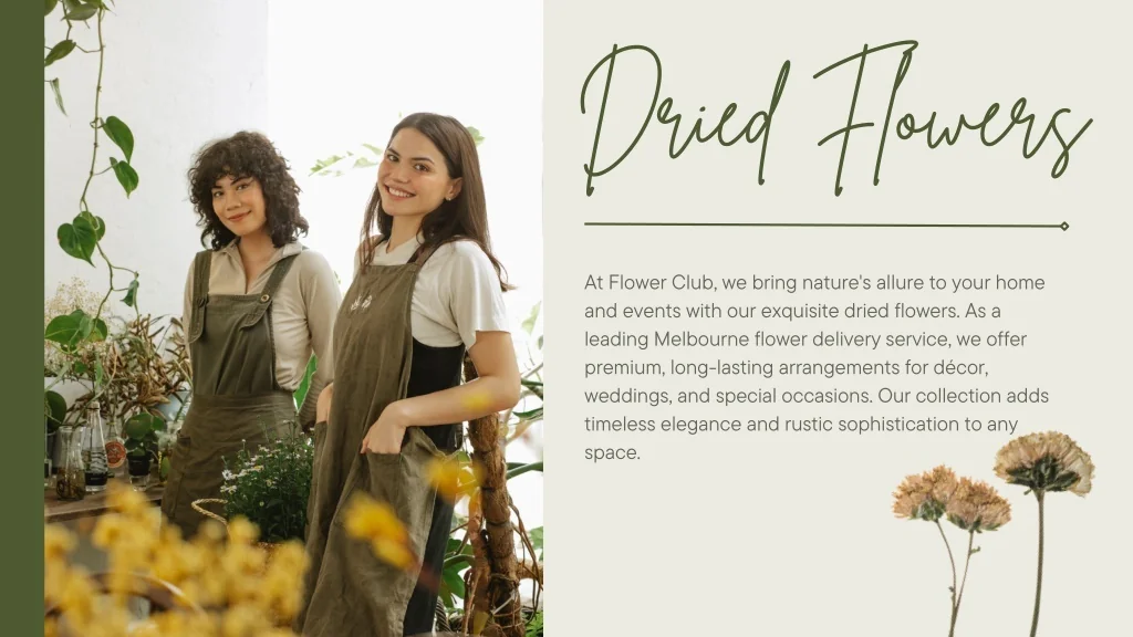 PPT - Dried Flowers Sydney PowerPoint Presentation, free download - ID ...