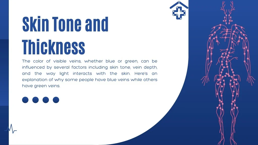 PPT - Why Do Some People Have Blue Veins and Others Have Green Veins ...