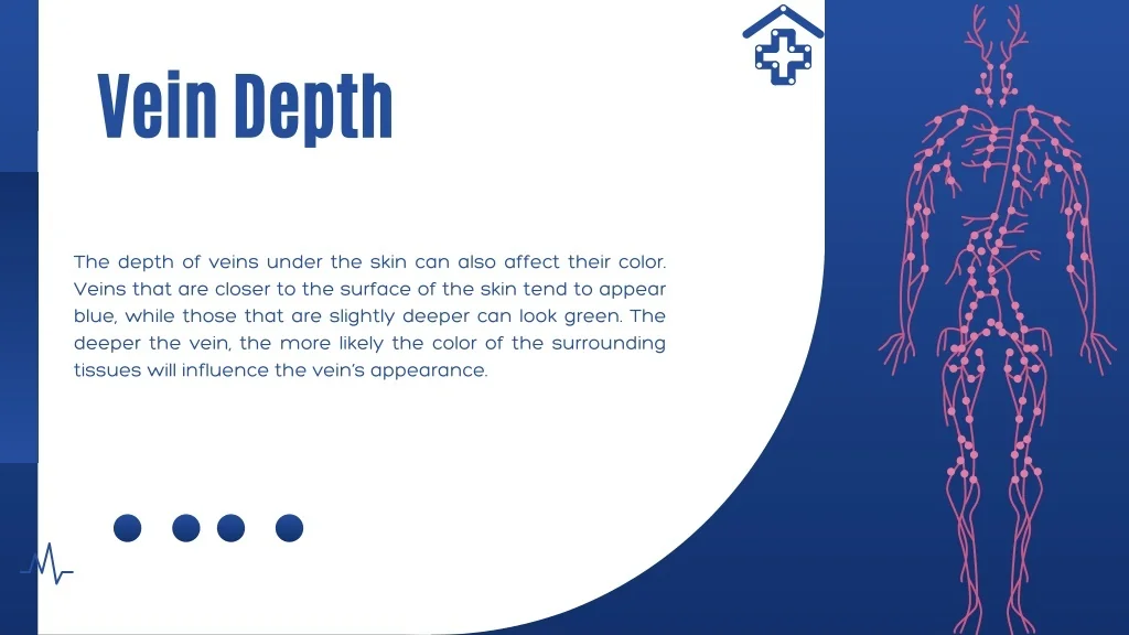 PPT - Why Do Some People Have Blue Veins and Others Have Green Veins ...