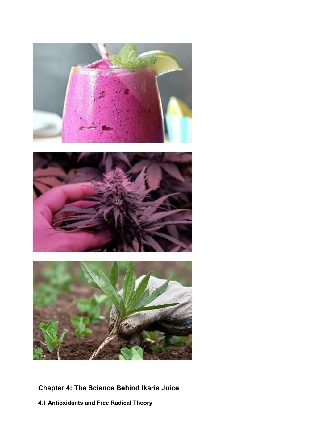 PPT - The Complete Guide to Ikaria Juice: Origins, Ingredients, and ...