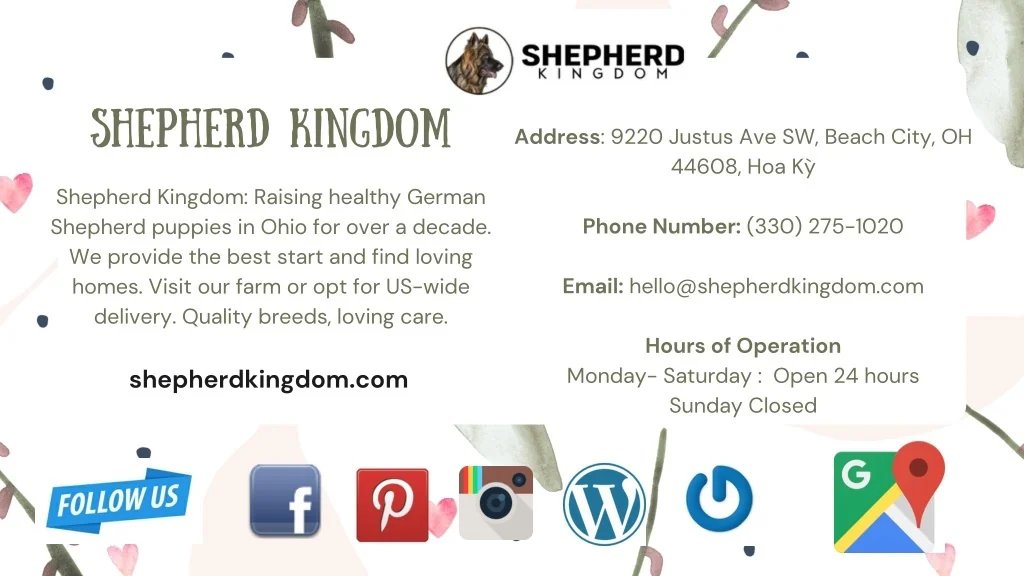 PPT - German Shepherd Puppies for Sale Ohio PowerPoint Presentation, free download - ID:13485050