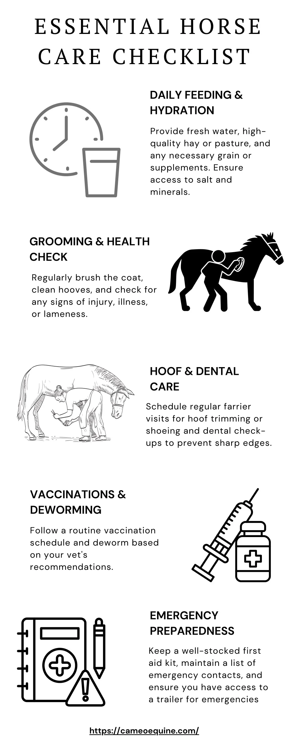 PPT - Essential Horse Care Checklist PowerPoint Presentation, free ...