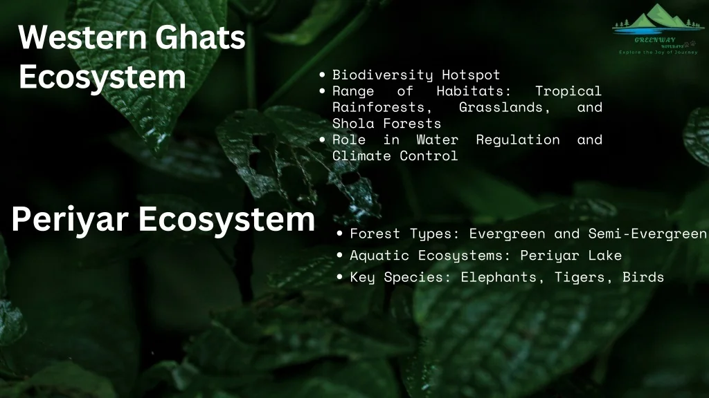 PPT - httpsgreenwayholidays.digiskillzlearning.com PowerPoint ...