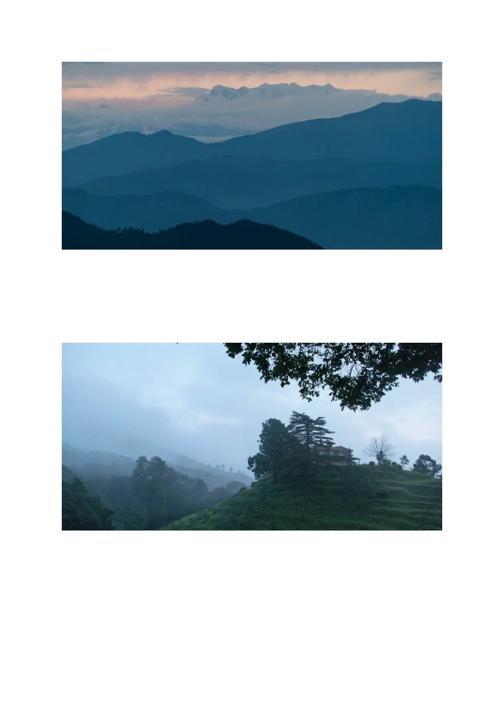 PPT - Luxury Hotel in Binsar _ Best 5 Star Hotel In Binsar_ Nine ...