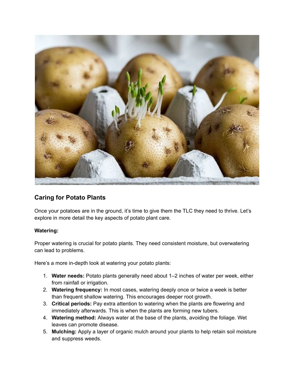 PPT - How to Plant Potatoes 2024- A Complete Guide for Home Gardeners ...