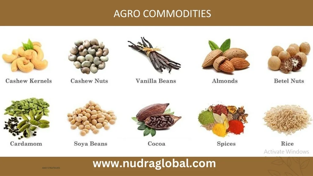 PPT - Import Export Company | International Trading Company - Mudra ...