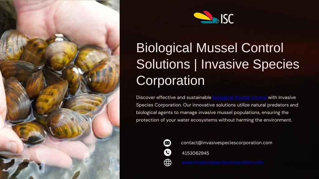 PPT - Biological Mussel Control Solutions Invasive Species Corporation ...