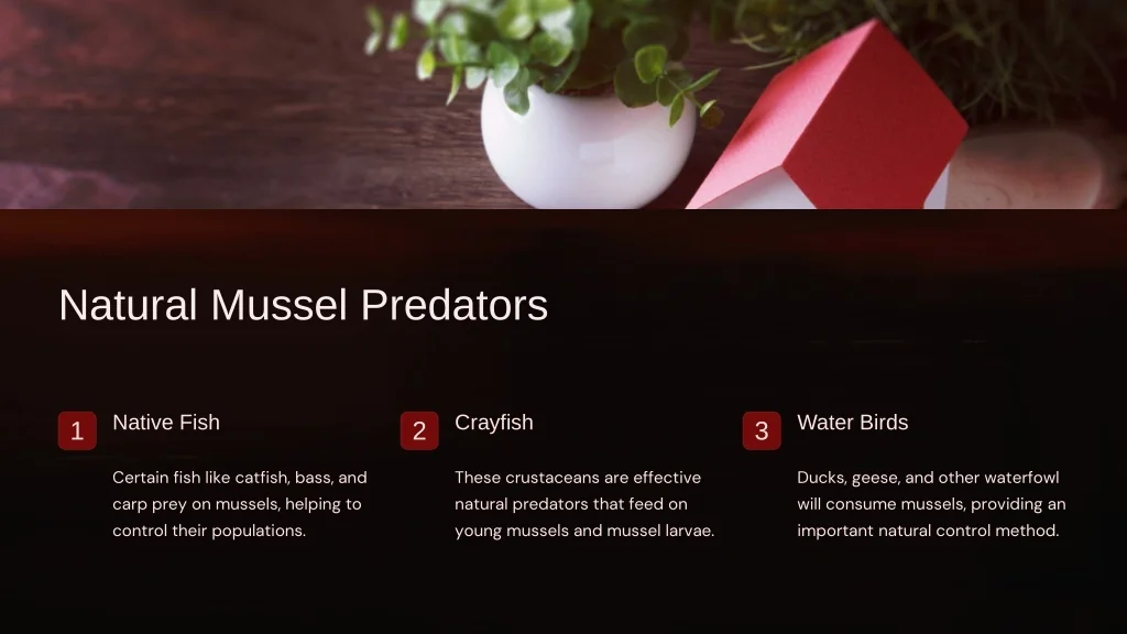 PPT - Biological Mussel Control Solutions Invasive Species Corporation ...