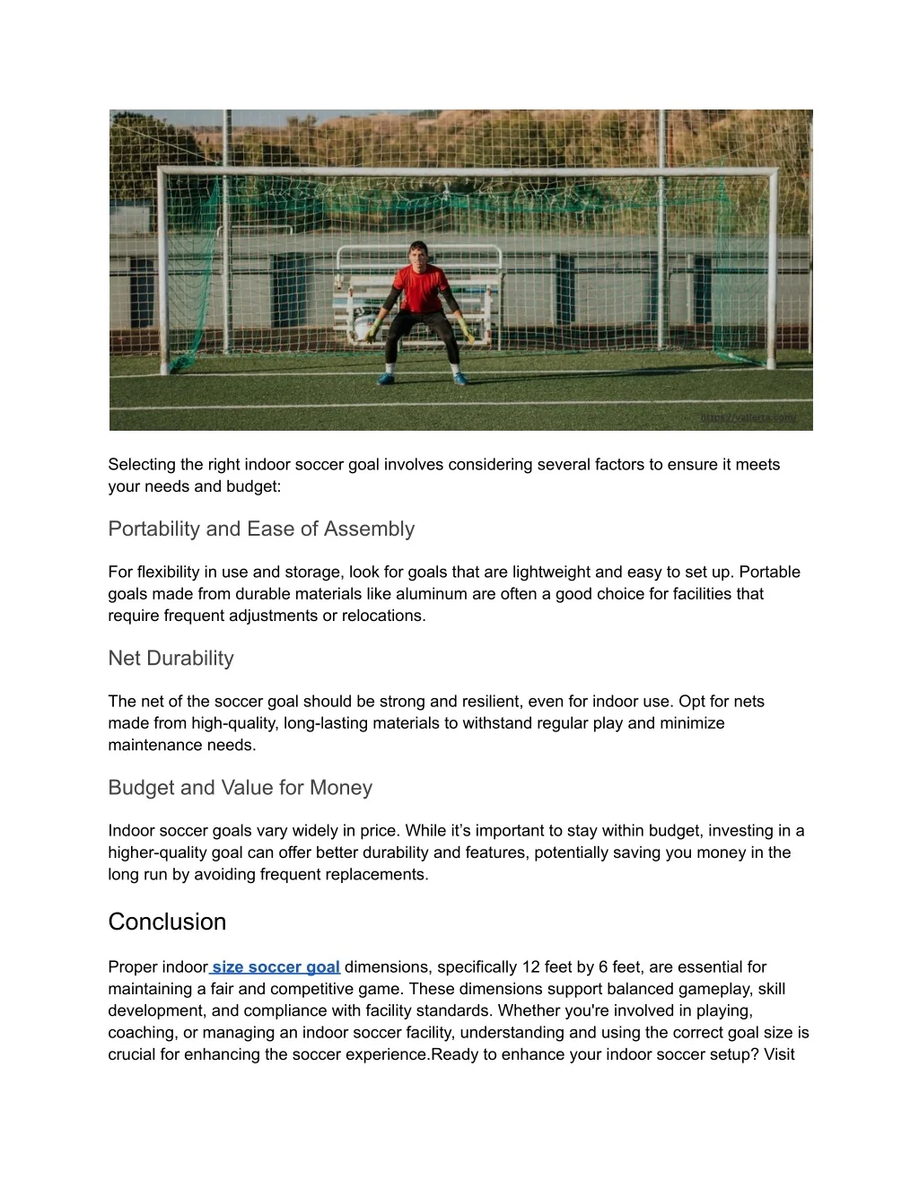 PPT - The Best Goal Soccer Net Sizes for Every Level of Play PowerPoint ...