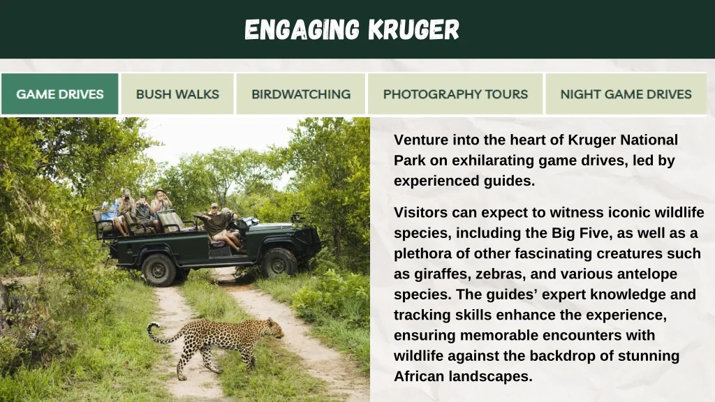 PPT - Explore South Africa's Ultimate Safari Adventure - Kruger ...