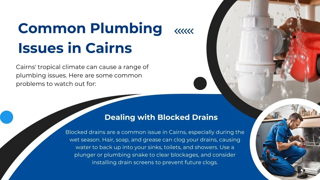 PPT - Cairns Plumbing Maintenance 101 Guidelines for a Healthy System ...