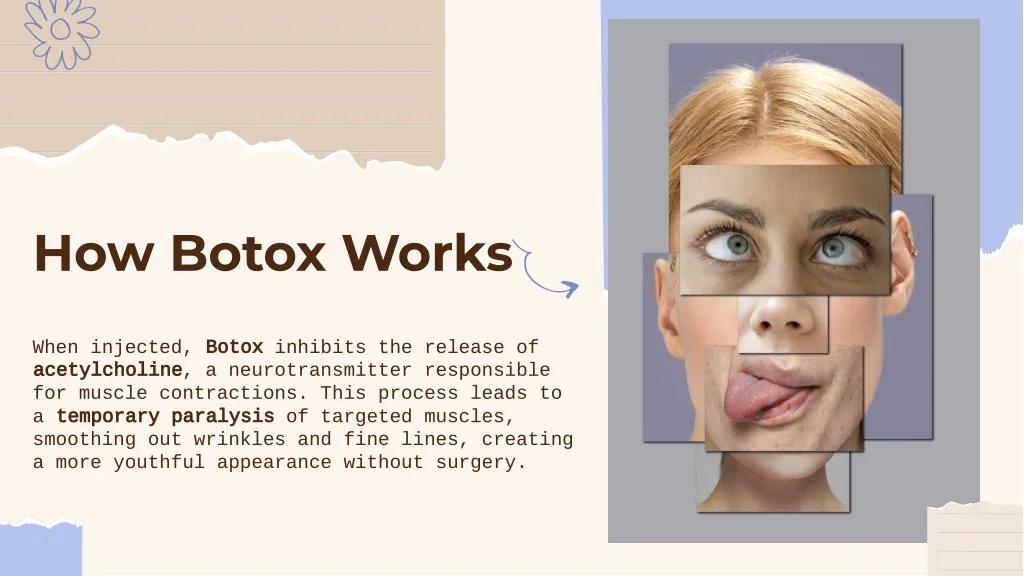 PPT - How Does Botox Work? The Science Behind the Injections PowerPoint ...