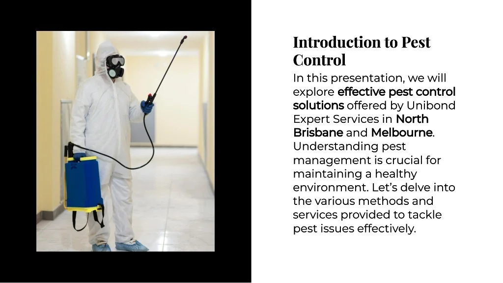 PPT - Best Pest Control In Brisbane Unibond Expert Services PowerPoint ...