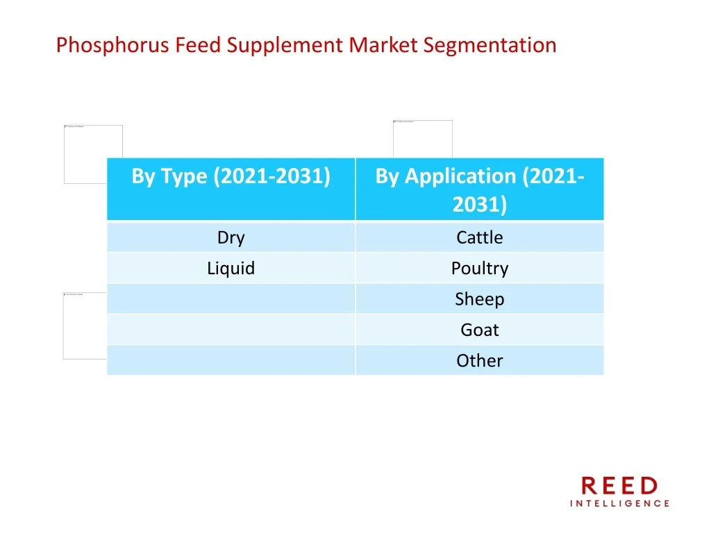 PPT - Nourishing Growth: The Phosphorus Feed Supplement Market ...