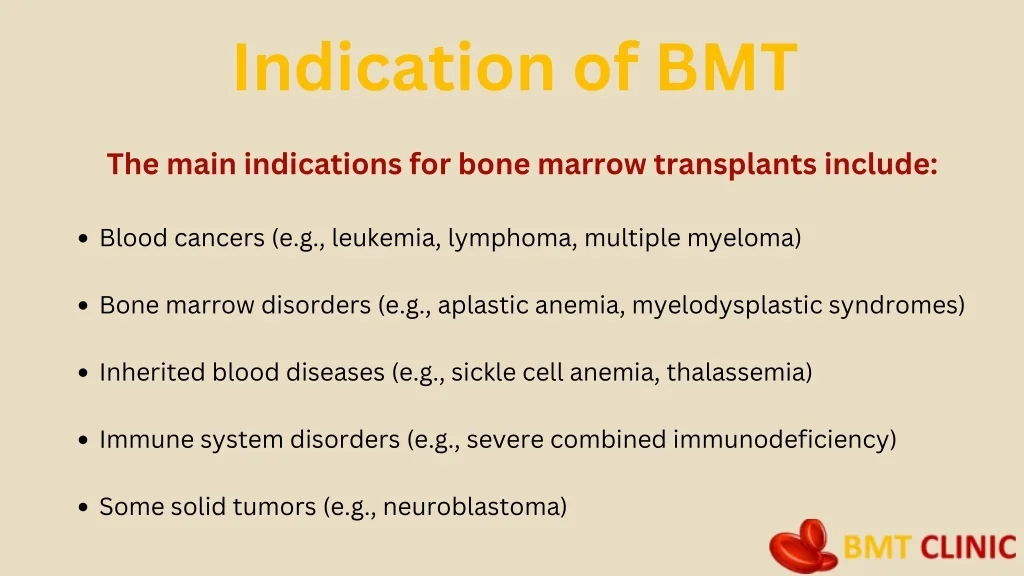PPT - Comprehensive Guide to Bone Marrow Transplant Costs in India ...