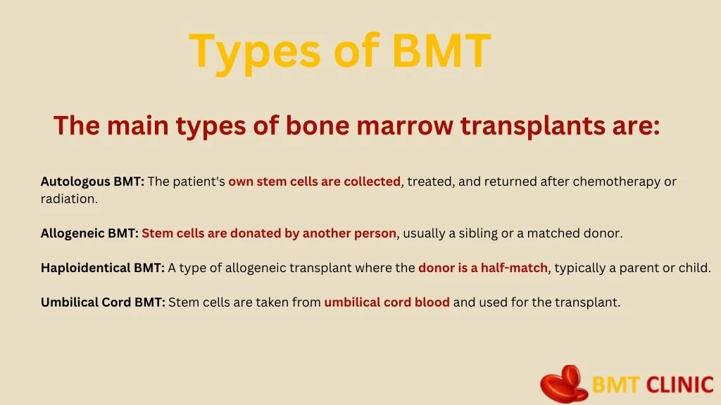 PPT - Comprehensive Guide to Bone Marrow Transplant Costs in India ...
