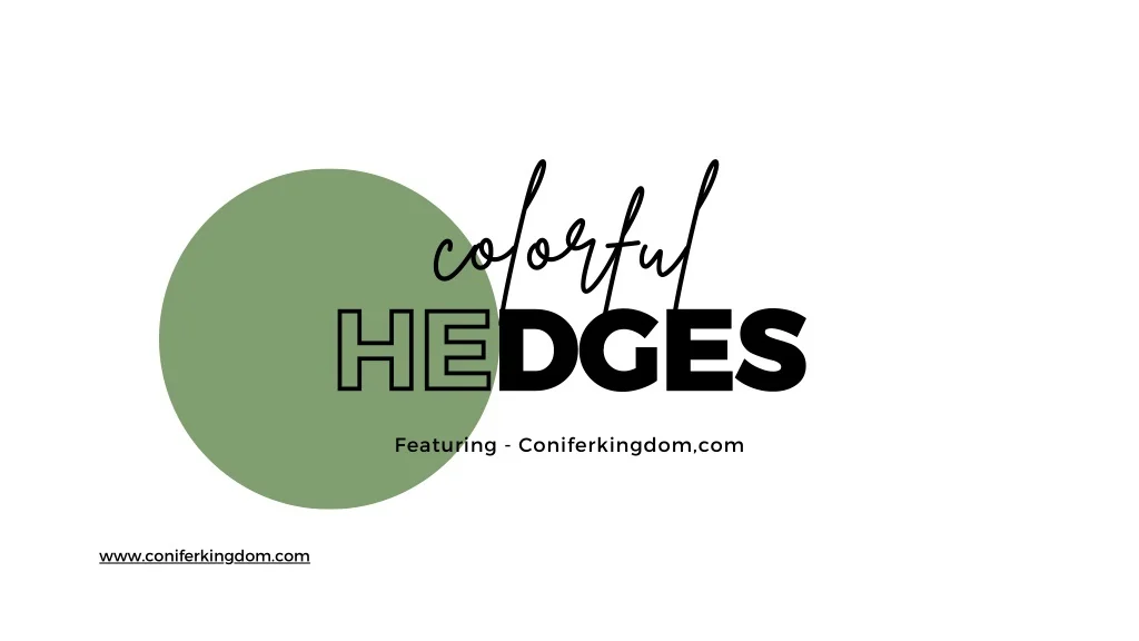 PPT - Designing with Colorful Hedges: Ideas for Every Garden PowerPoint ...