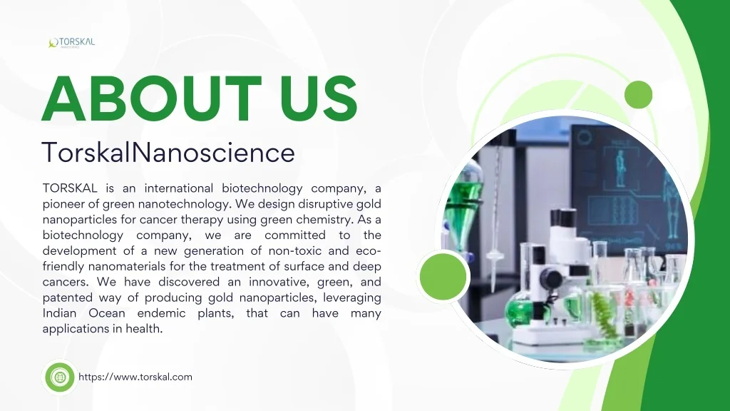 PPT - Torskal Nanoscience: Pioneering Nanotechnology for Advanced ...