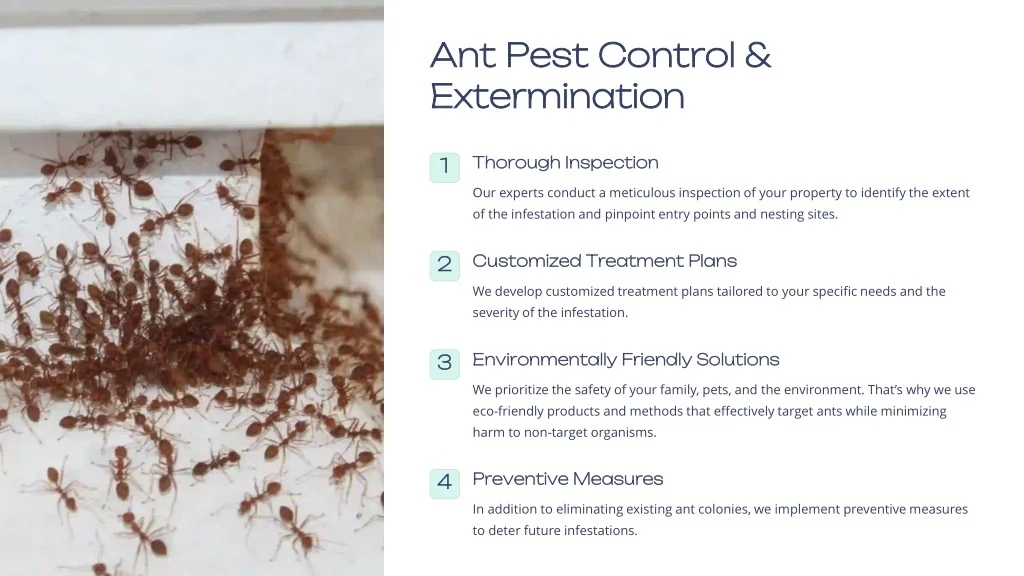 PPT - Best Pest Control Newmarket PowerPoint Presentation, free ...