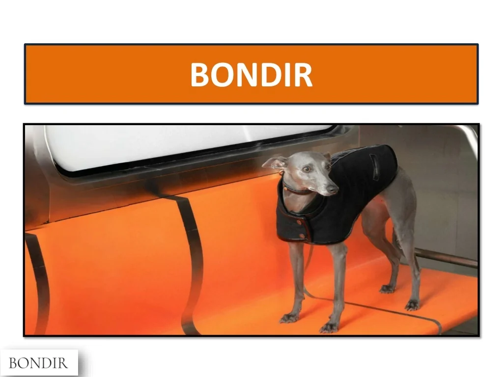 PPT - Discover Stylish Accessories from the Pet Apparel Store at BONDIR ...