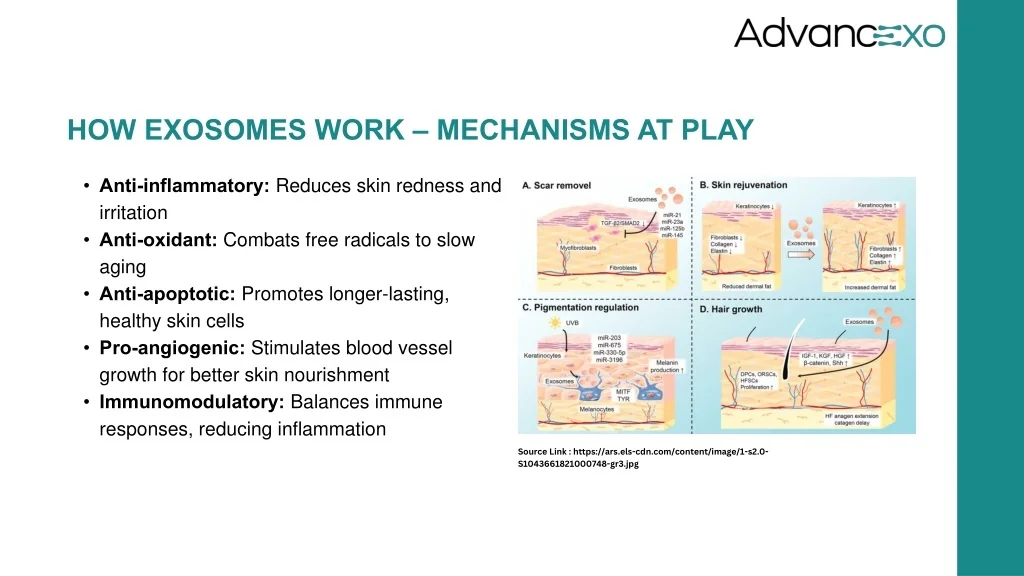 PPT - Exosomes in Aesthetic Medicine: Revolutionizing Skin & Hair Care ...