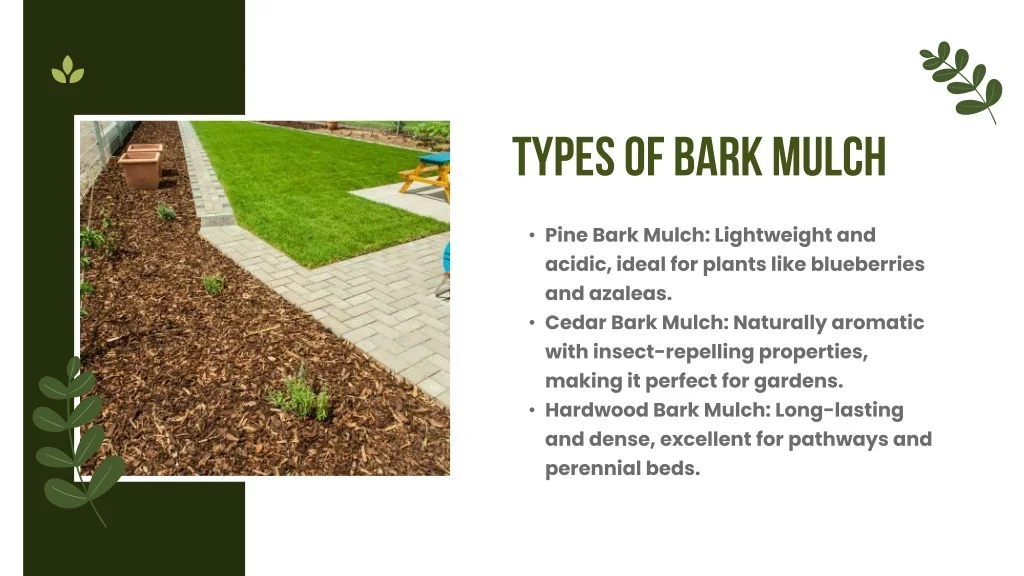 PPT - Landscaping Bark Mulch Benefits | Mtn Bark PowerPoint ...