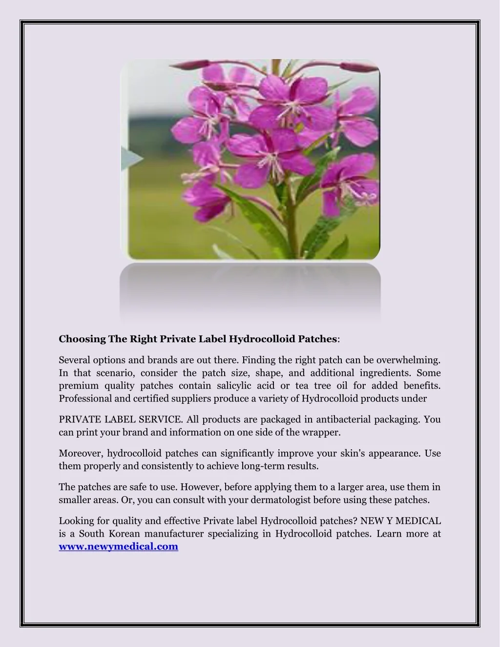 PPT - Private Label Hydrocolloid Patches for Your Skincare Routine ...