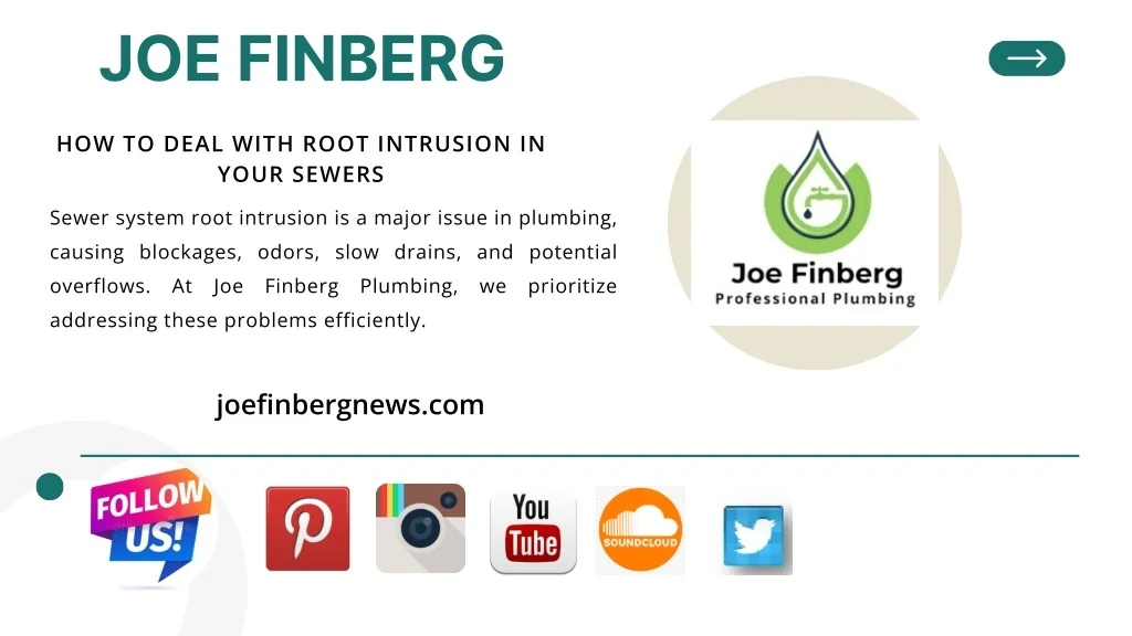 PPT - Joe Finberg PowerPoint Presentation, free download - ID:13627802