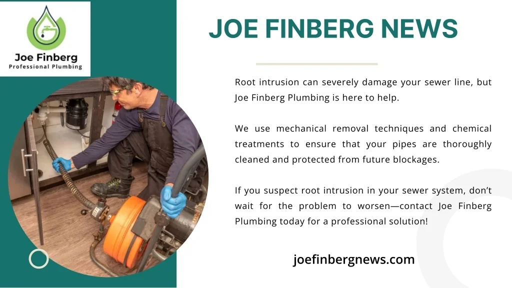 PPT - Joe Finberg PowerPoint Presentation, free download - ID:13627802