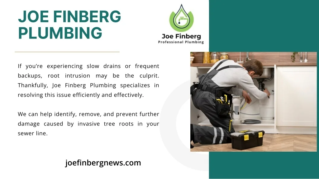 PPT - Joe Finberg PowerPoint Presentation, free download - ID:13627802