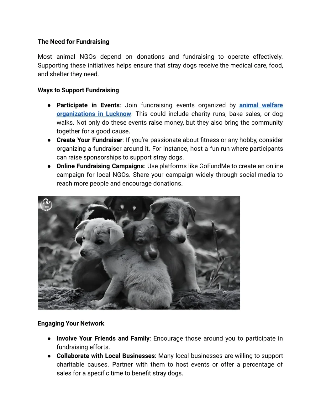 PPT - 5 WAYS TO SUPPORT STRAY DOGS WITHOUT ADOPTING PowerPoint ...