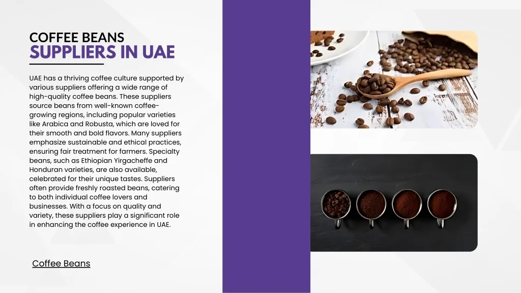 PPT - Best Coffee Beans Manufactures - TradersFind PowerPoint ...