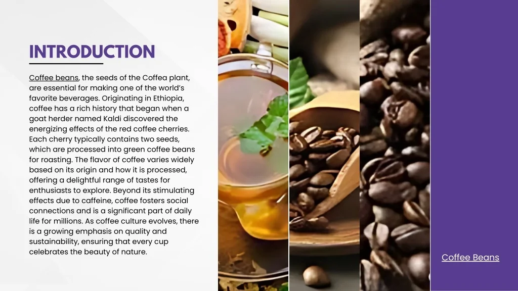 PPT - Best Coffee Beans Manufactures - TradersFind PowerPoint ...