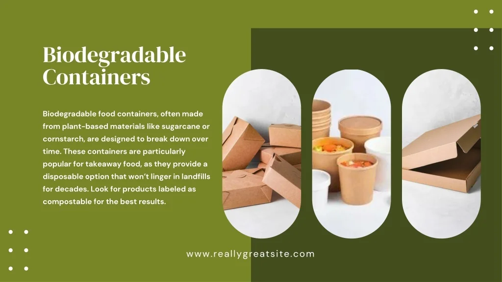 PPT - What Are The Most Eco-Friendly Food Containers PowerPoint ...