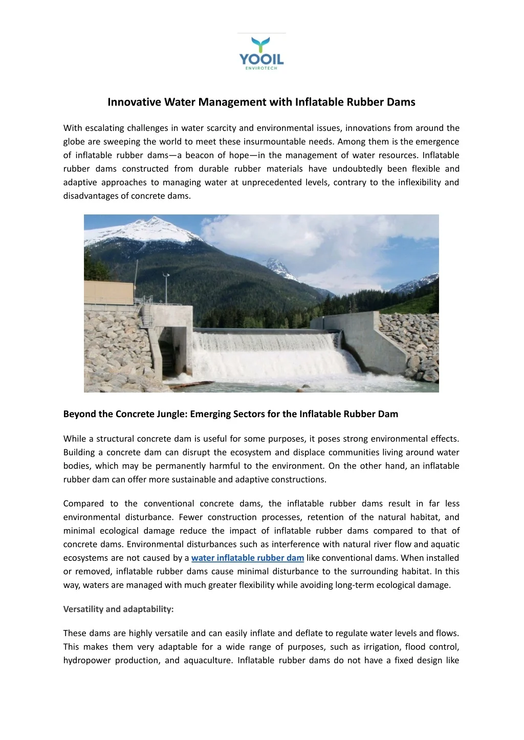 PPT - Innovative Water Management with Inflatable Rubber Dams ...